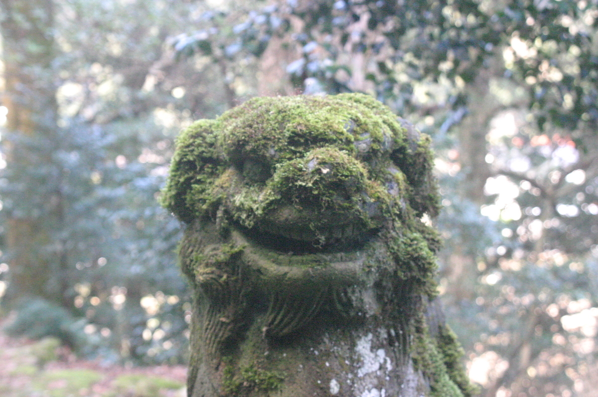 パワースポット - むらの幸福論