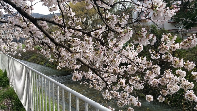 9726-KNT-CTホールディングス - Training Note