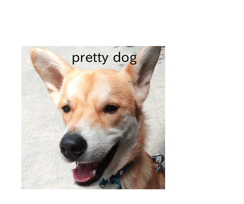 PythonのPyFPDFでHTMLからPDF生成 - mykos tech blog