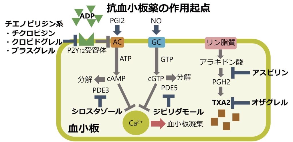 【ダプト・サプトとは？】 - mxfiueの日記