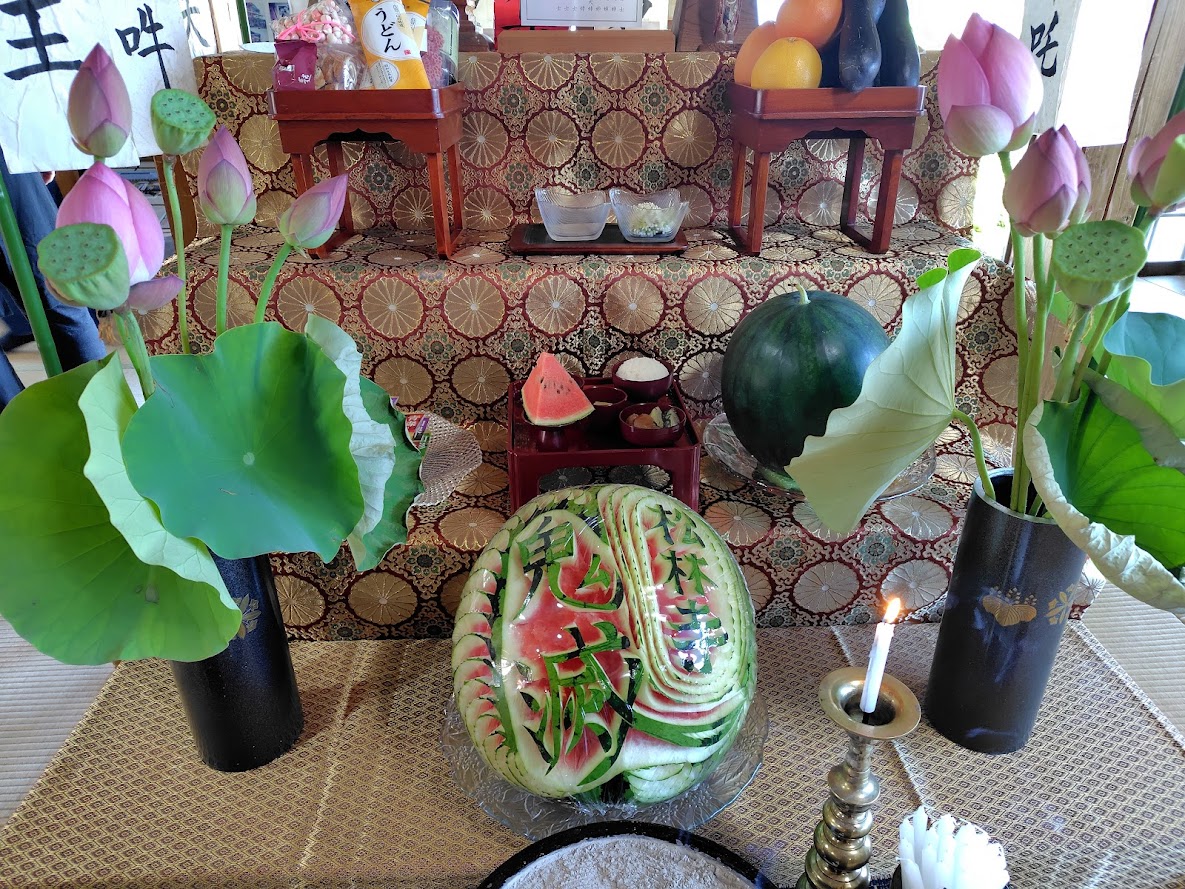 サンデーサンライズ532 親族の木陰 - なあむのブログ