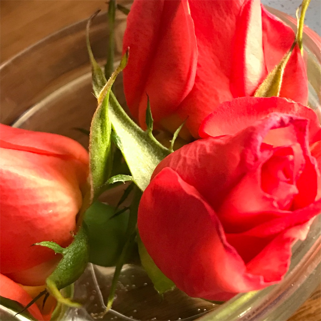 2月の和みのサロン∞nakwach∞の予定 - Esalenbodywork&Aromatherapy〜和みのサロン∞nakwach∞のブログ