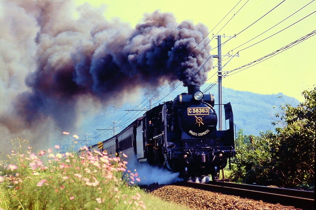 旧客再び投入の秩父パレオエクスプレス - nampinaの日記