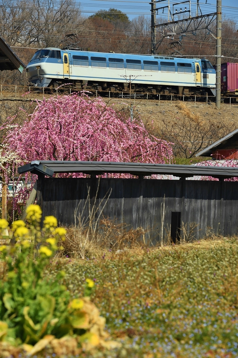 間もなくダイヤ改正を迎え - nampinaの日記