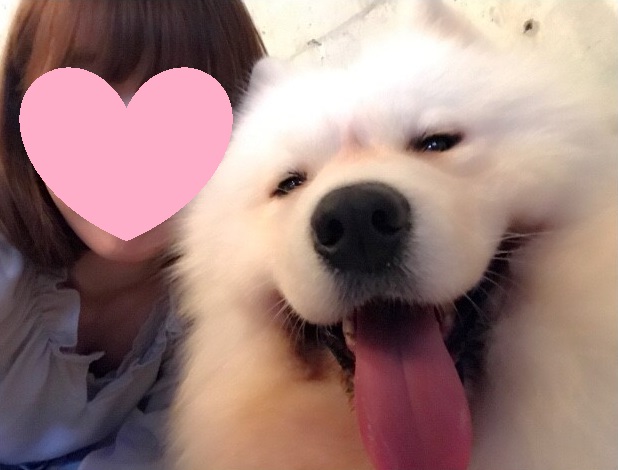 バンコクで一番癒されるおすすめのカフェ Dog inTown へ行ってみた！ - トラベルトラベル