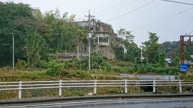 WOWOWドラマ「太陽は動かない―THE ECLIPSE―」Episode2 - 森の中の一本の木