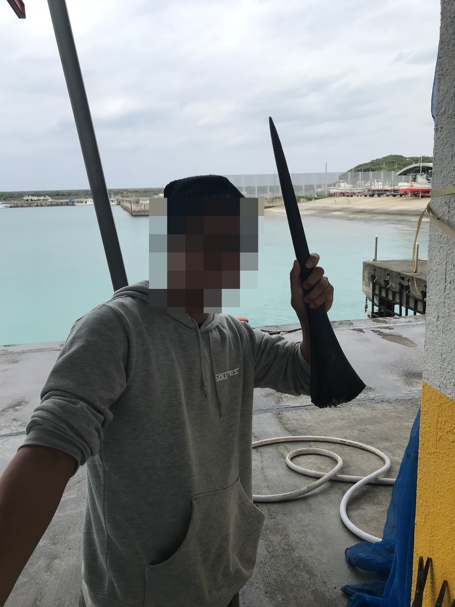 2018年2月13日、288日目（沖縄県与那国町） - ナスの自転車で日本一周