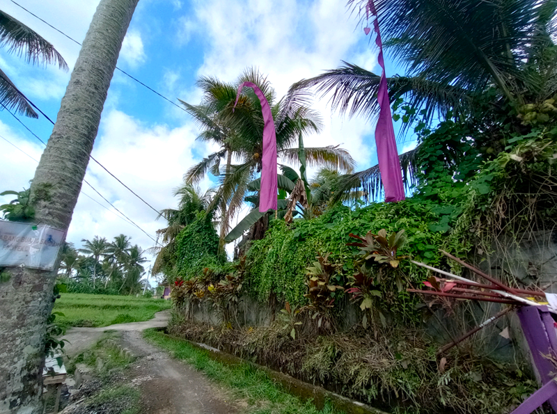 【バリ島／ウブド】ご縁あってシャーマンに視てもらう。ウォーターセレモニーとリーディングなら「Tri Desna」 - ゆるサステナブルな旅と暮らし