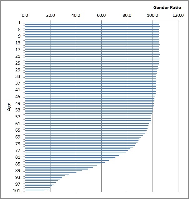 Gender Ratio by Age in Japan, 2013 - How much is it in Tokyo?