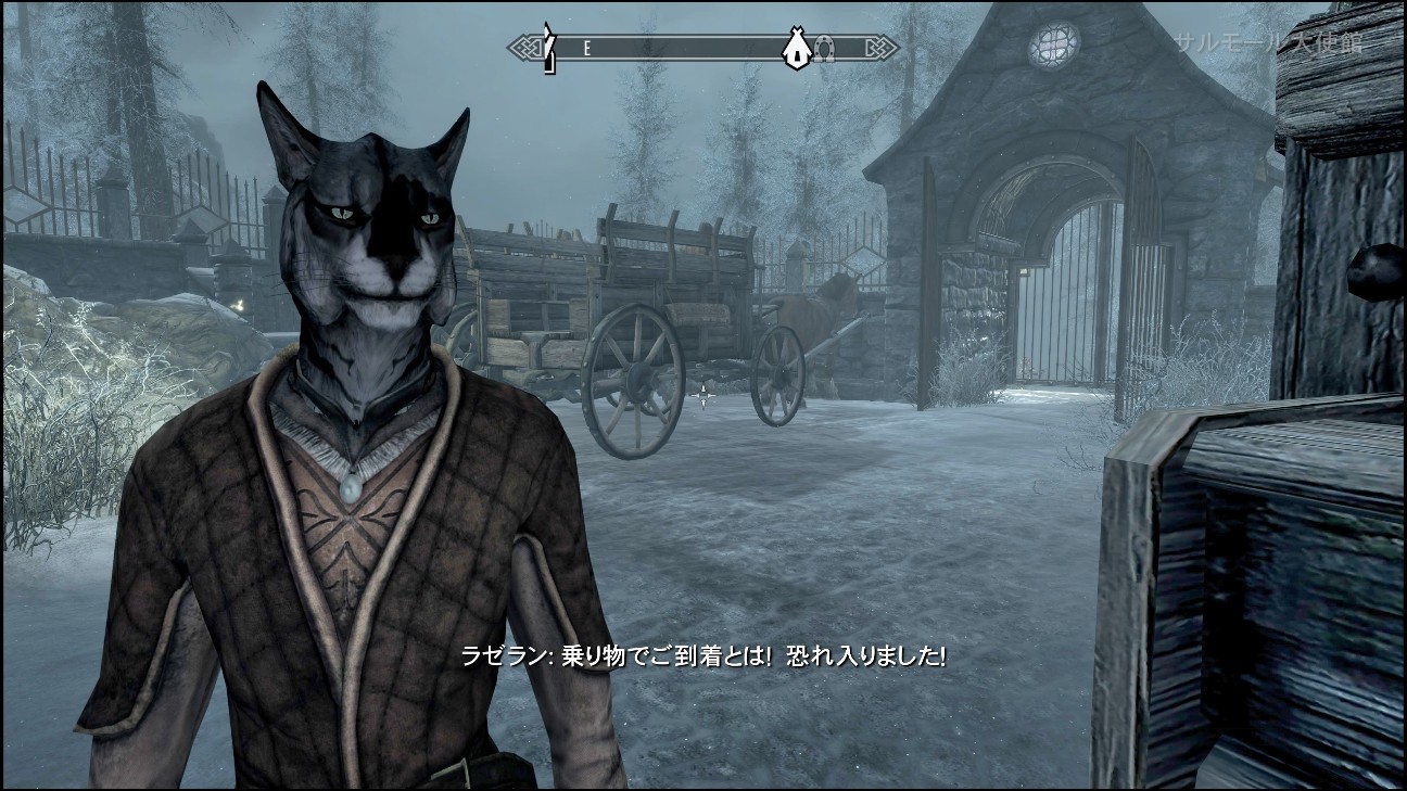 「顔が洗えない冬の午後」「Skyrim、久しぶりにMOD入れようとしたけど何も分からなかった」他─「(3/14追記)顔が洗える春の朝」 - mitei