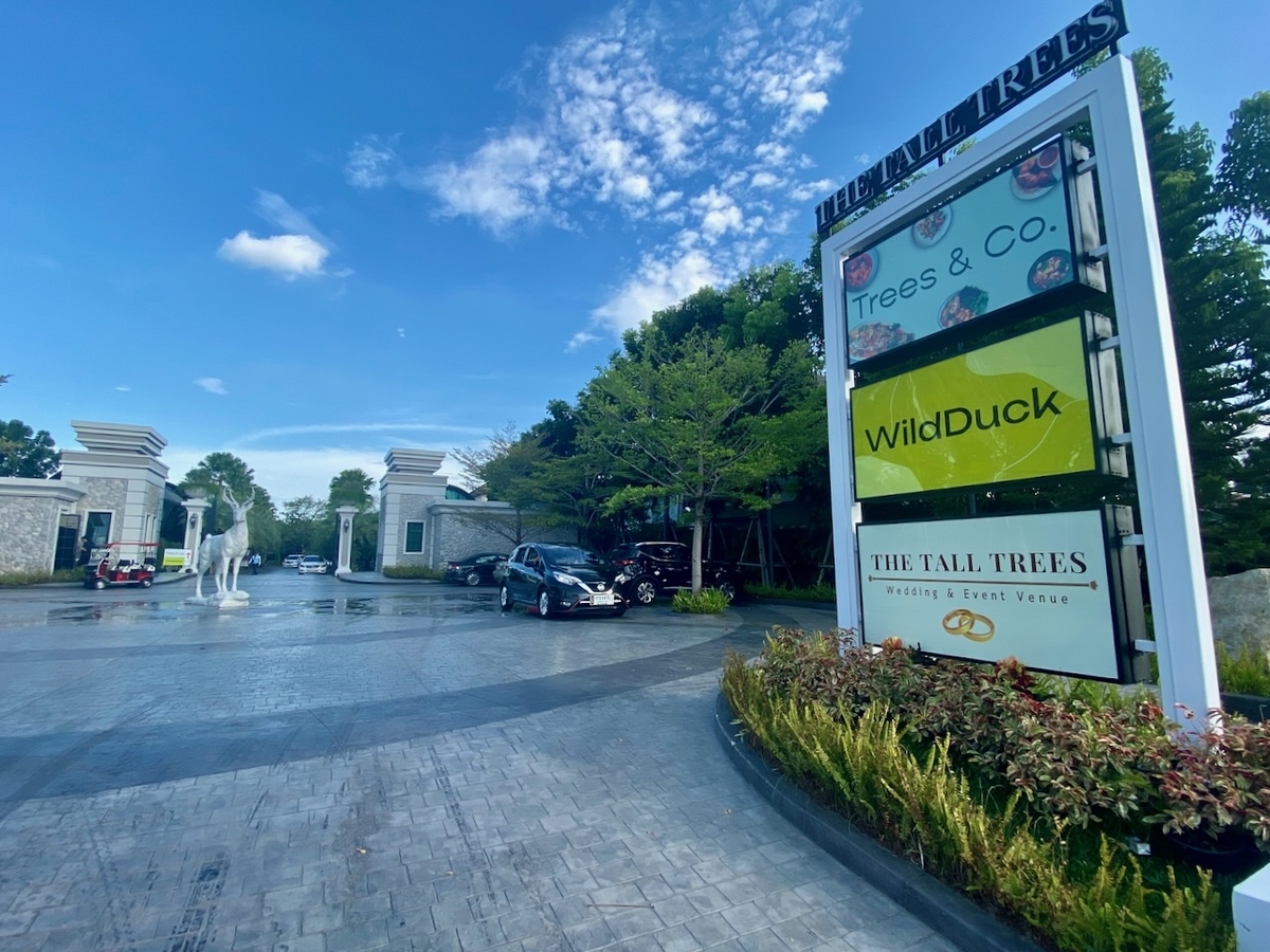 【Wild Duck Cafe BKK】白鳥&アヒルと触れ合える！自然豊かな癒しのカフェ - 猫のように暮らしタイ