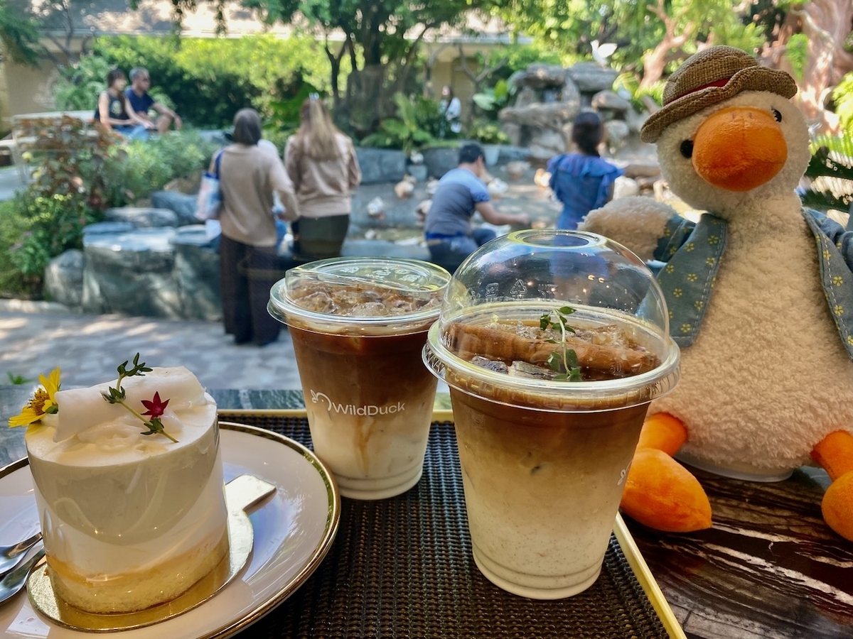 【Wild Duck Cafe BKK】白鳥&アヒルと触れ合える！自然豊かな癒しのカフェ - 猫のように暮らしタイ