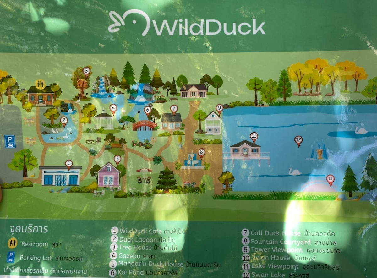 【Wild Duck Cafe BKK】白鳥&アヒルと触れ合える！自然豊かな癒しのカフェ - 猫のように暮らしタイ