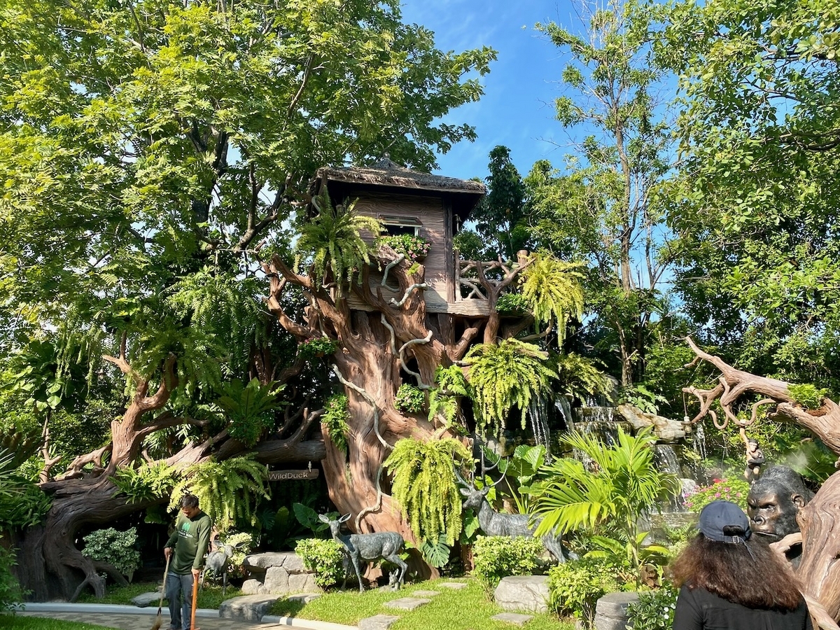 【Wild Duck Cafe BKK】白鳥&アヒルと触れ合える！自然豊かな癒しのカフェ - 猫のように暮らしタイ