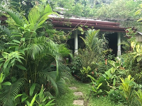 スリランカ シギリヤ編 1 - nekoはひとりで旅に出る。。。