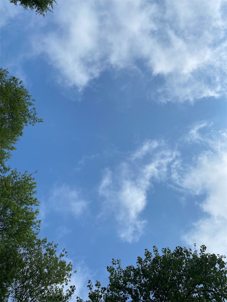 Rainy Season: A Quiet Saturday Morning - 日日是好日