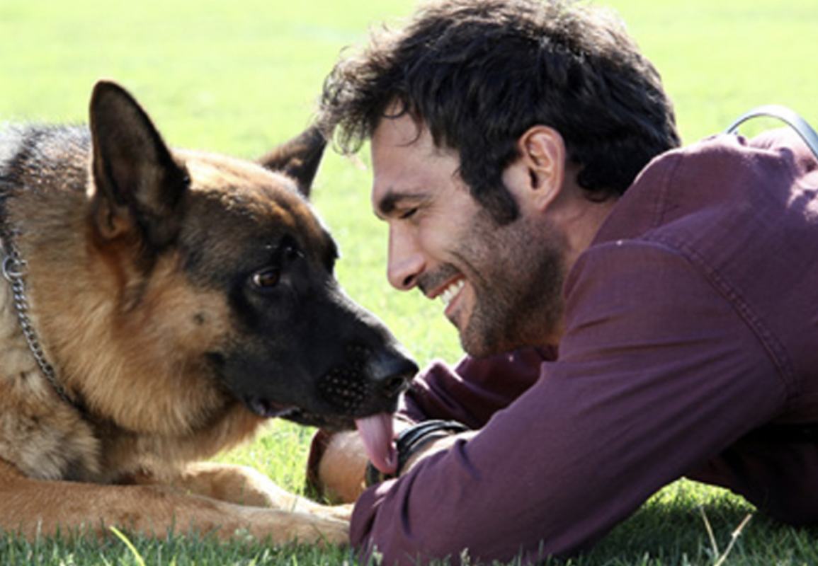 マルコ＆レックス～ローマ警察シェパード犬刑事〜Il commissario Rex☆S2-3 - I LOVE MY LIFE −猫とROCK ...