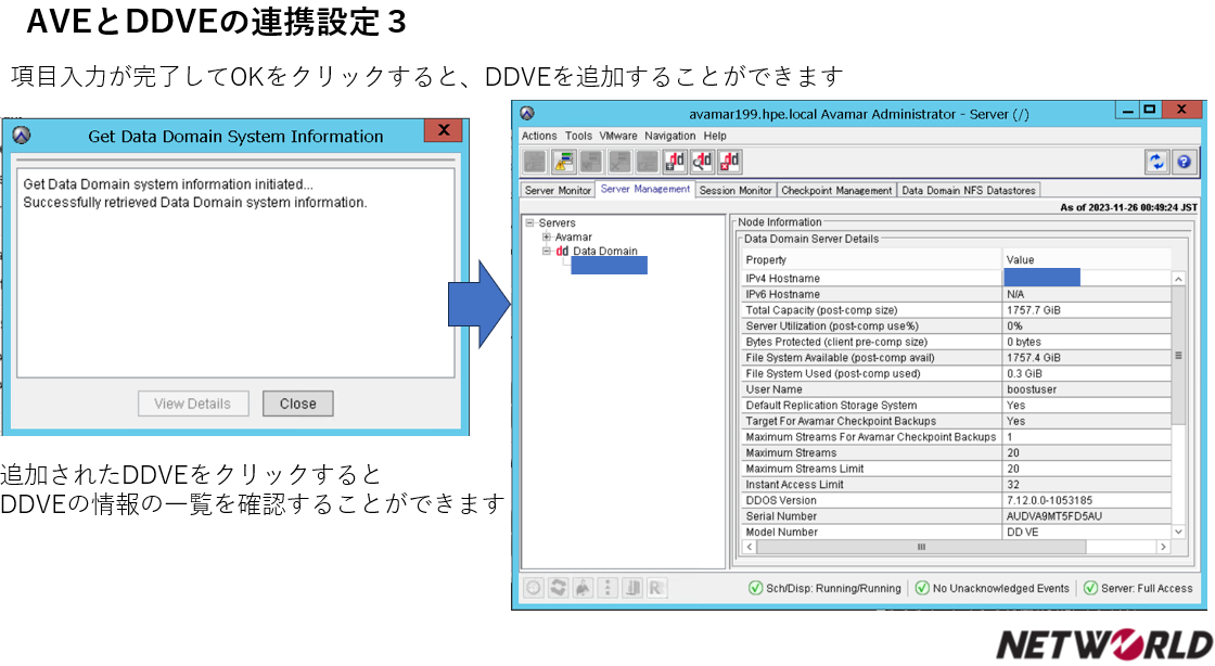 【Dell Blog】2023年11月最新のAvamar、DDをデプロイしてDD Boost連携してみる！ - ネットワールド らぼ