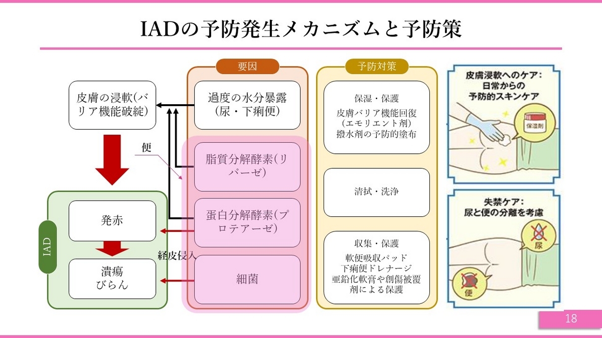 失禁関連皮膚炎(IAD: incontinence associated dermatitis)を科学する9 - 在宅診療医 内田賢一 奮闘記