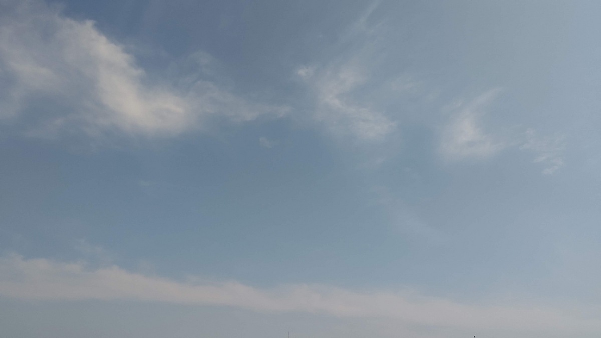 父の日 - nfufの記録