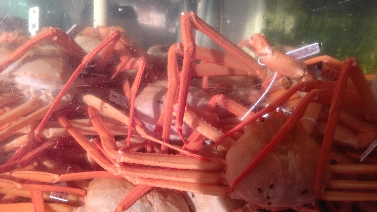 車旅のアクセス① ～福井県って、そんなに遠くなかった～ - nfufの記録