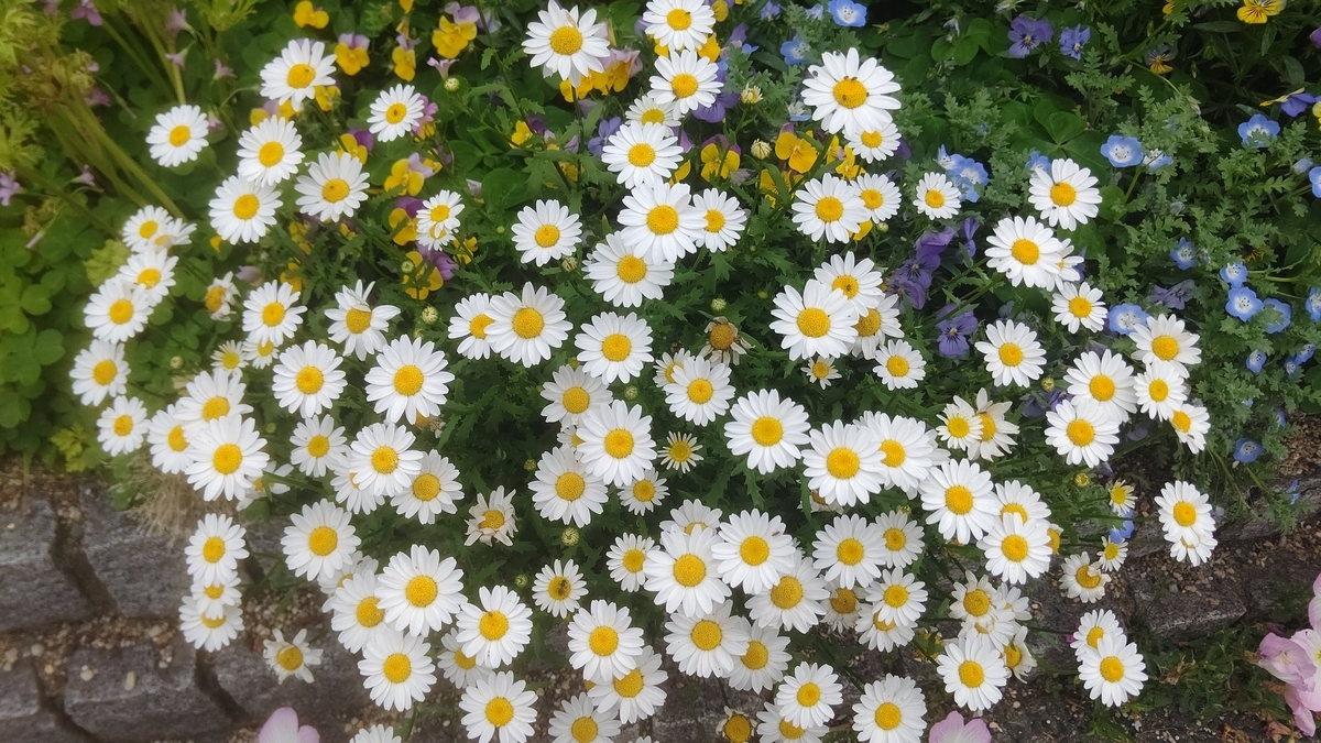 いそがしくて、仕事なんかやってられない - nfufの記録