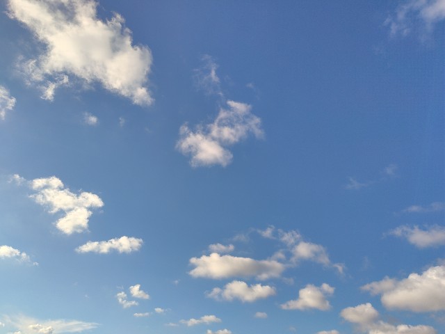 季節は少しづつ動いている - nfufの記録