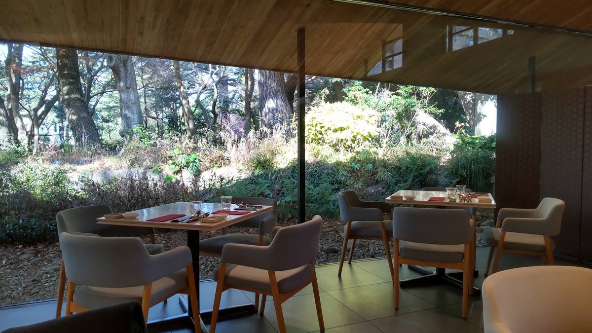 ひとり時間にランチ TEIEN Restaurant comodo（白金台）：美術館に併設された季節を感じるレストラン - 東京ひとり時間