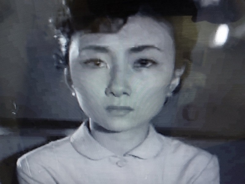 にっぽんGメン 特別武装捜査班出動 1956年 東映 - 日本映画1920-1960年代の備忘録