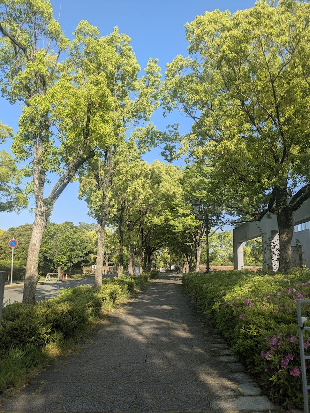 早朝の公園 - For the Time Being