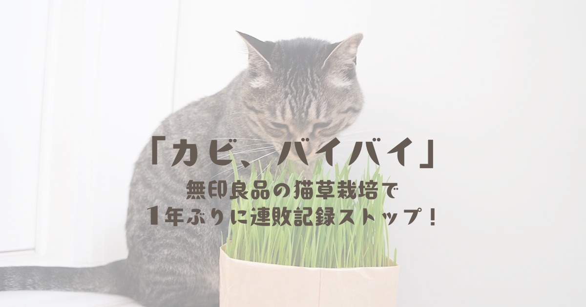 「カビ、バイバイ」無印良品の猫草栽培で1年ぶりに連敗記録ストップ！ - のれぺん