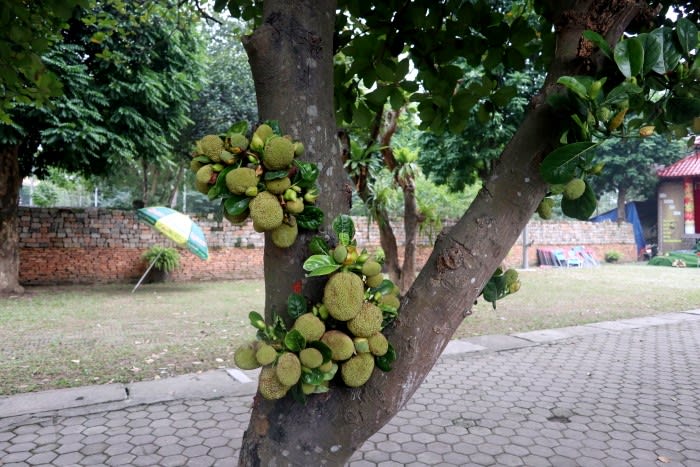 タンロン遺跡(2019ベトナムno35) - 世界の彼方此方へ行きたい