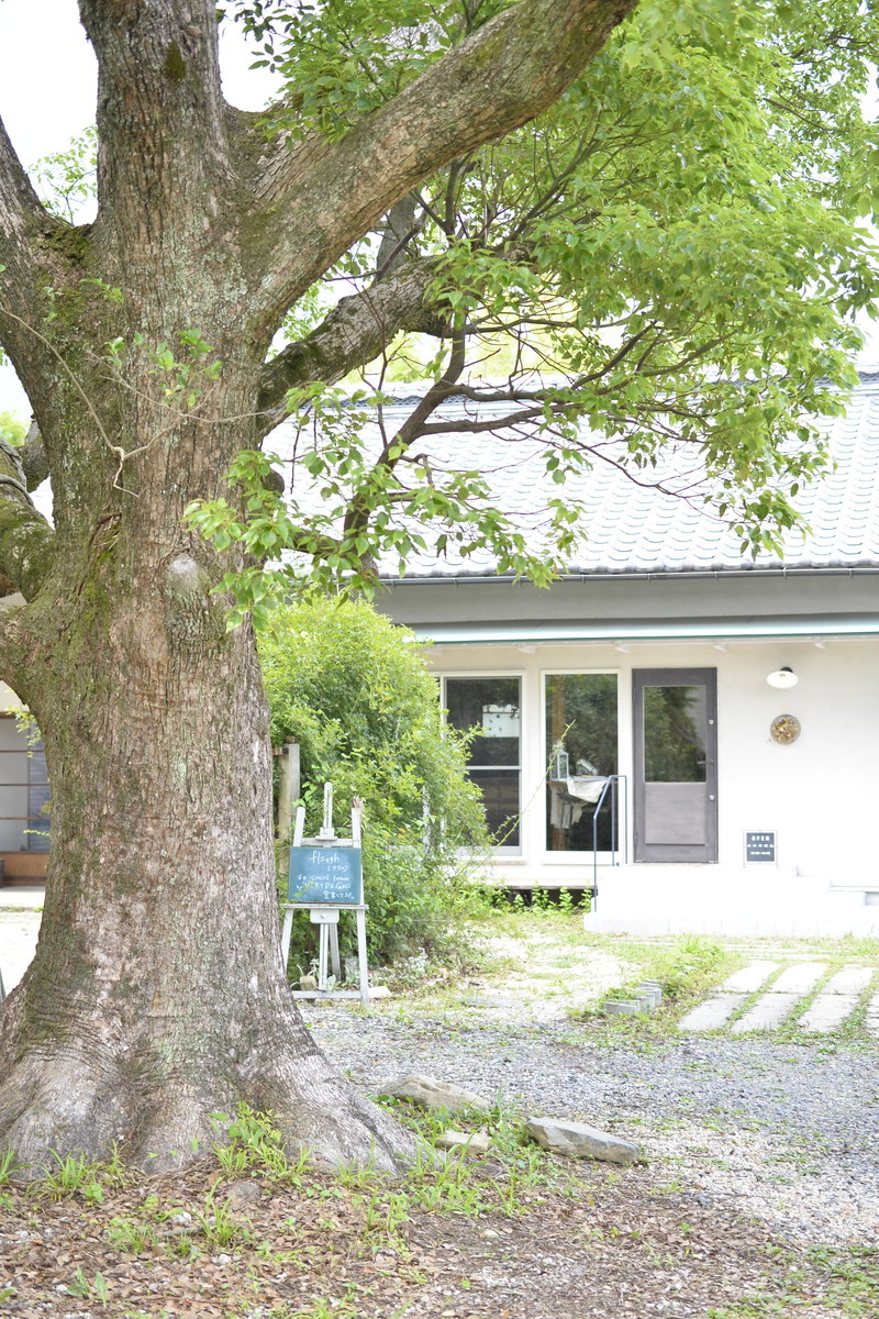 flaugh flower（フラフ フラワー） - VERT DE GRIS グリ日記