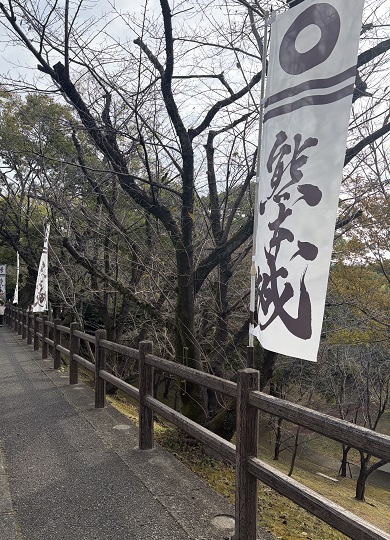 百名城の一つ「熊本城」と「桜の馬場城彩苑」 - noRi's happy life