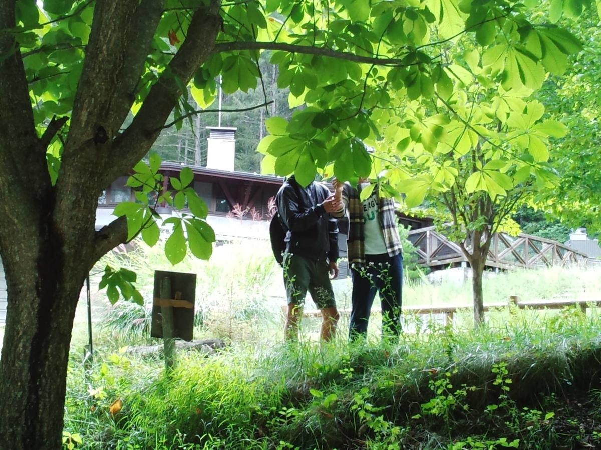 体験学習：アクティビティからロングスパンの授業へ - npo-ecom’s diary