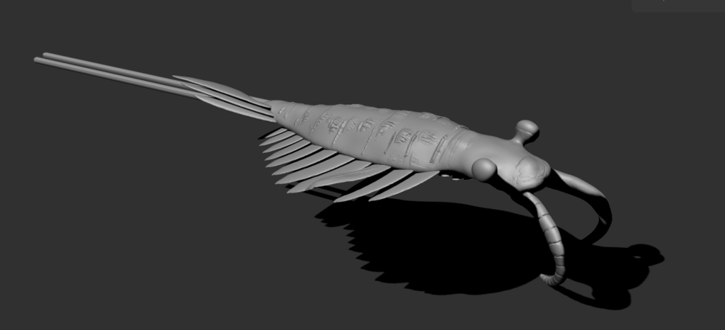 Anomalocaris saron 続き: Setal blade構造をどうするか悩む - ZBrushや3Dプリンタとかの造形メモ