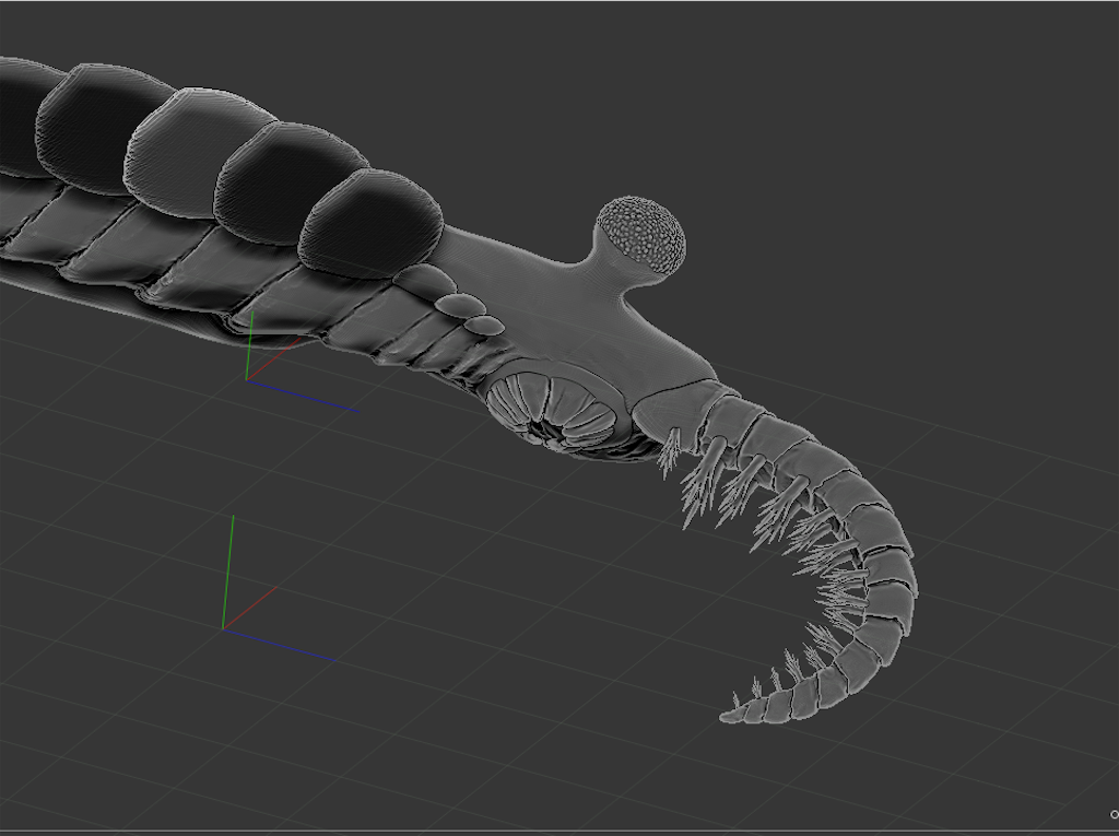 Anomalocaris saron続き:大付属肢及びsetal blades - ZBrushや3Dプリンタとかの造形メモ