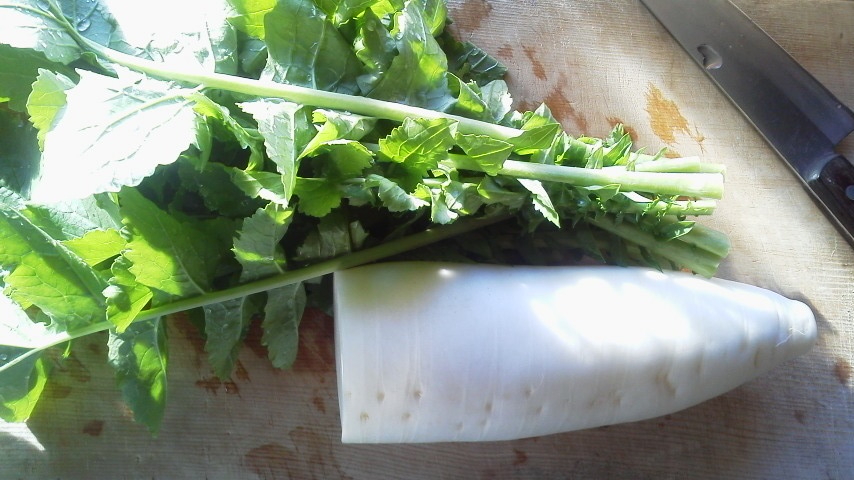 M108 おおぐま座 春の銀河 & 無謀な挑戦 - nyancotan's diary 天体写真 in Hokkaido