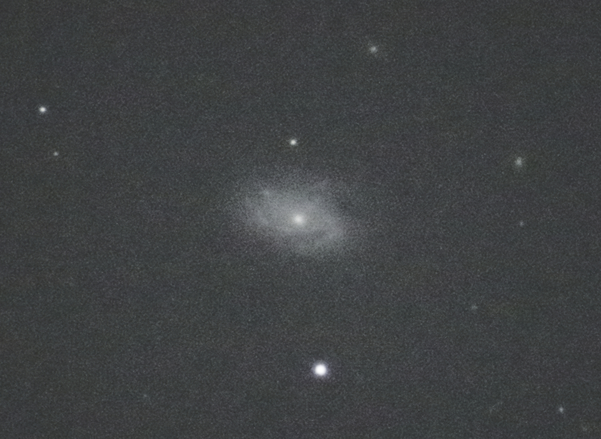 珍しい & NGC4212 かみのけ座 渦巻 - nyancotan's diary 天体写真 in Hokkaido