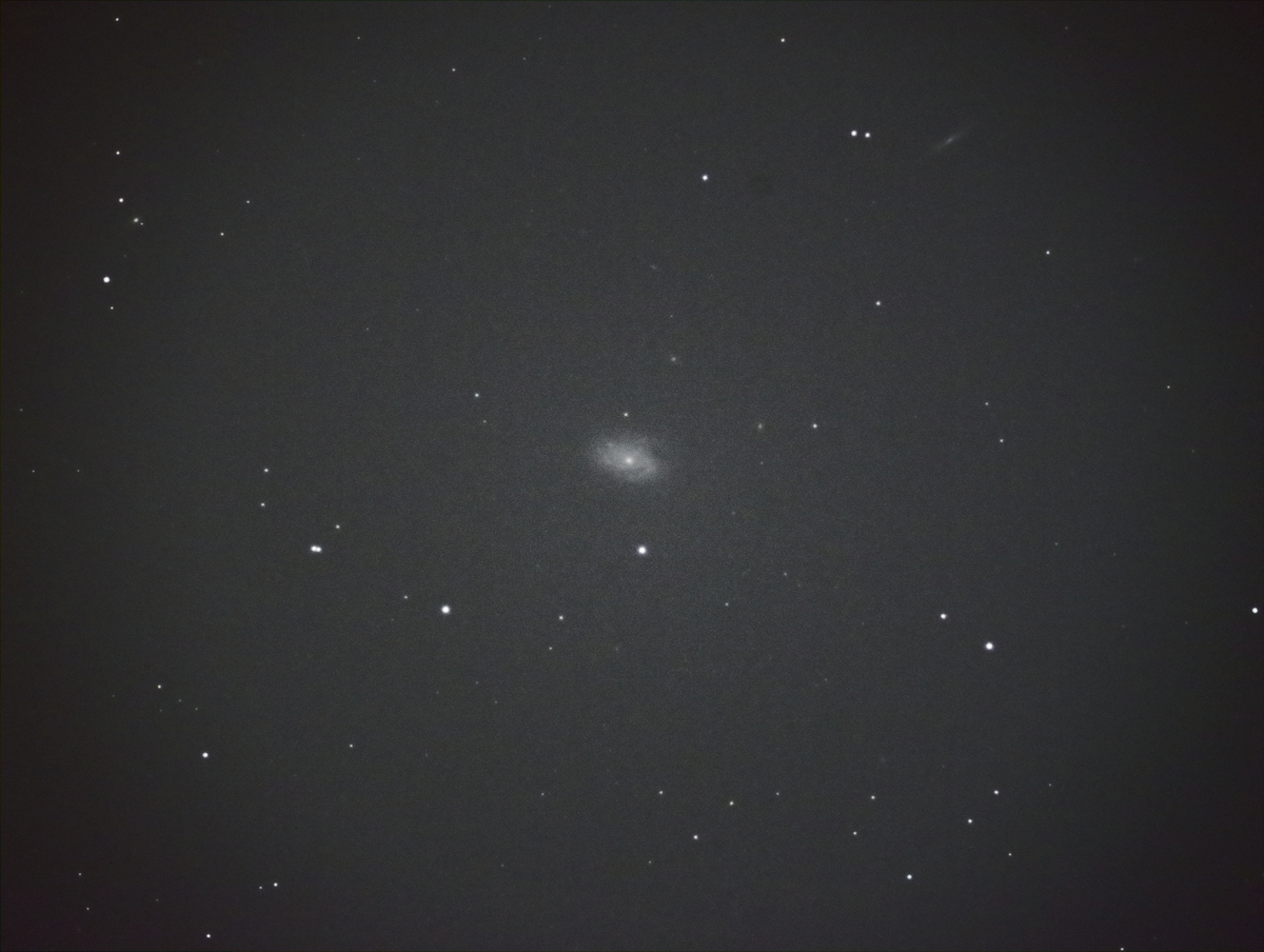 珍しい & NGC4212 かみのけ座 渦巻 - nyancotan's diary 天体写真 in Hokkaido