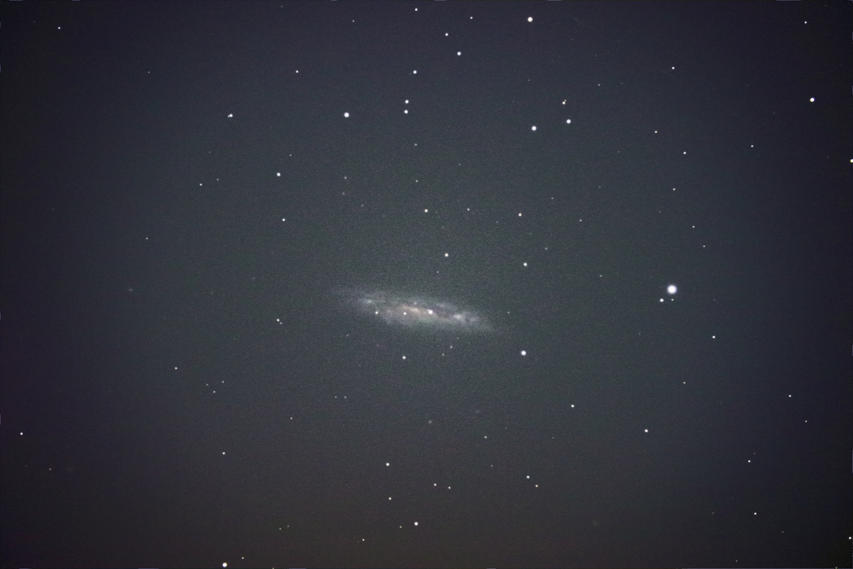 M108 おおぐま座 銀河 & 衝突銀河 - nyancotan's diary 天体写真 in Hokkaido