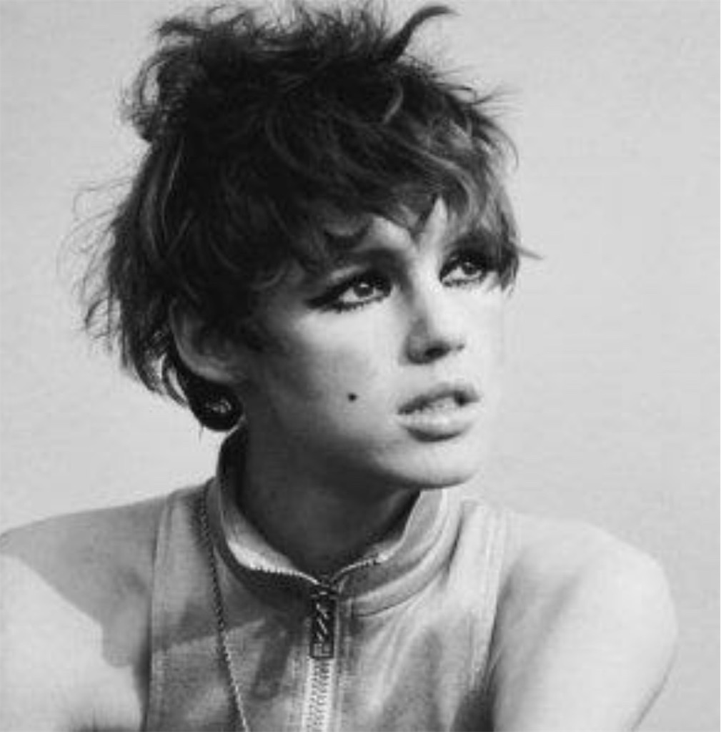 Edie Sedgwick - The Day Edie Died - officewildsideの日記