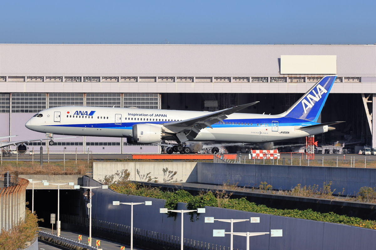 ANA JA830A - 青空きっぷうりば