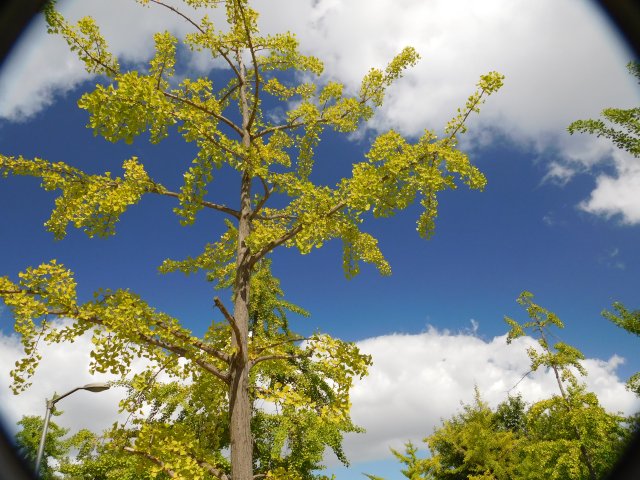 アジアが変わる - oichan-2’s blog