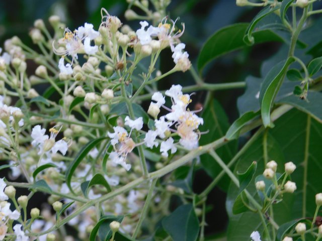 犯人は、やつら？ - oichan-2’s blog