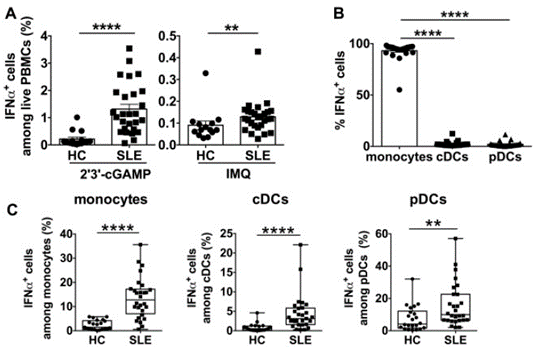 SLEのpDC、単球のIFN産生は異なる刺激によってもたらされ、血清IFNα、SLEDAIに関連する - リウマチ膠原病のQ&A