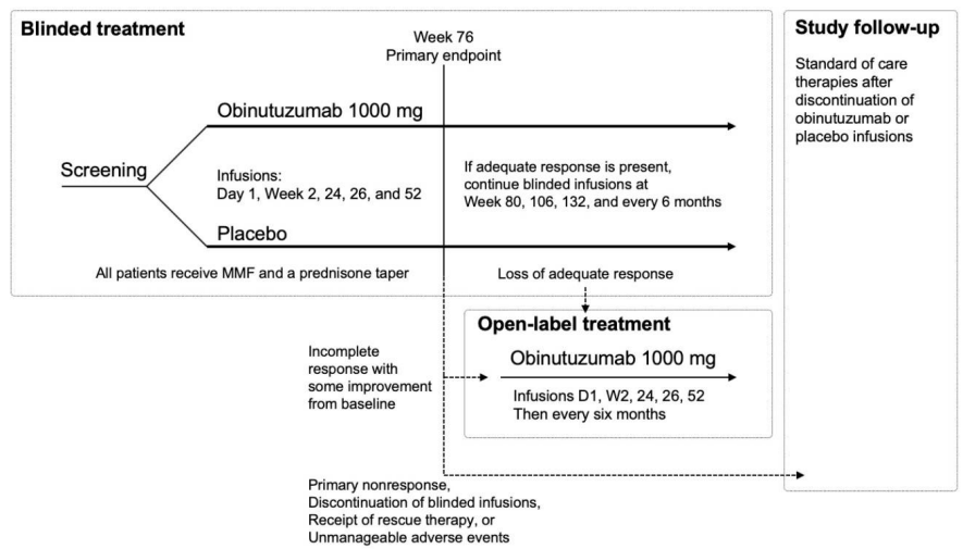 REGENCY, phase 3 RCT for Obinutuzumab in Lupus nephritis - リウマチ膠原病のQ&A