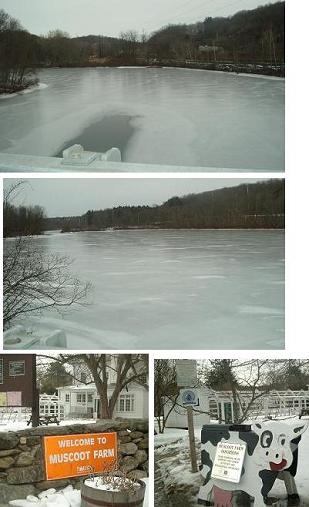 Muscoot Farm - ola519’s diary