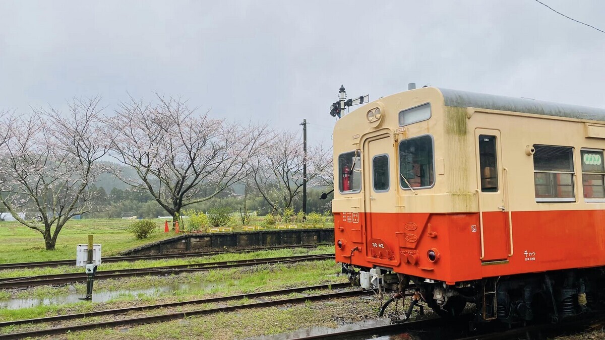 初代8029健幸大使 - 新・歌の力で、日本を今一度せんたくいたし申候