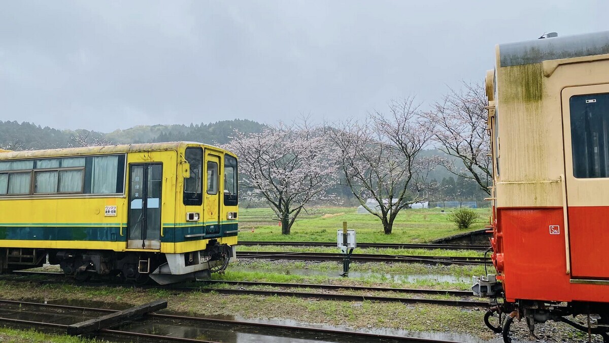 初代8029健幸大使 - 新・歌の力で、日本を今一度せんたくいたし申候